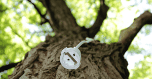 Are Trees a Renewable or Nonrenewable Resource? - Tree Vitalize