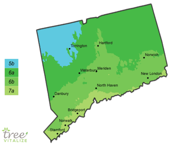 Planting Zones Connecticut - Hardiness, Gardening & Climate Zone