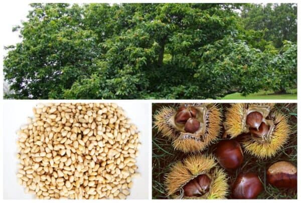 Planting Zones Wisconsin - Hardiness, Gardening & Climate Zone