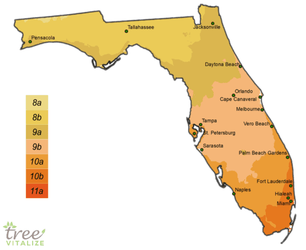 Planting Zones Florida - Hardiness, Gardening & Climate Zone