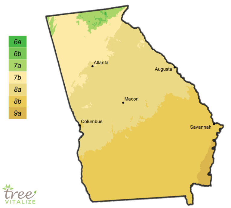 Planting Zones Georgia - Hardiness, Gardening & Climate Zone