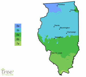 Planting Zones Illinois - Hardiness, Gardening & Climate Zone