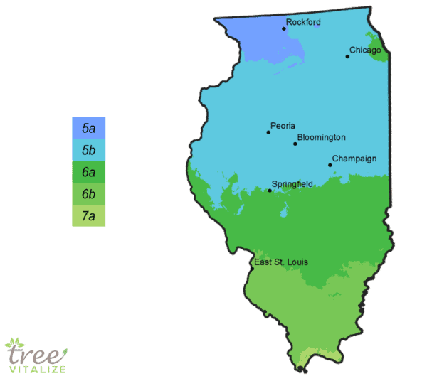 Planting Zones Illinois - Hardiness, Gardening & Climate Zone