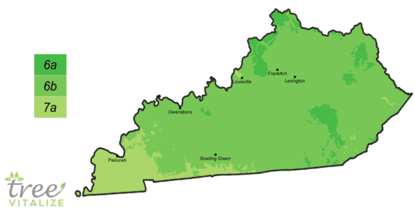 Planting Zones Kentucky - Hardiness, Gardening & Climate Zone