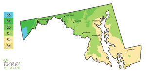 Planting Zones Maryland - Hardiness, Gardening & Climate Zone