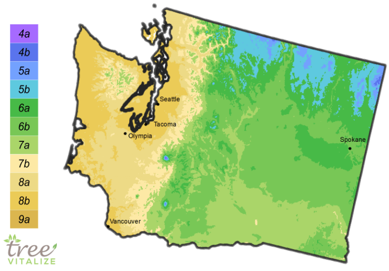 Planting Zones Washington - Hardiness, Gardening & Climate Zone