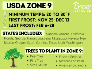 USDA Zone 9: Where is it? What to Plant? Tips to Success