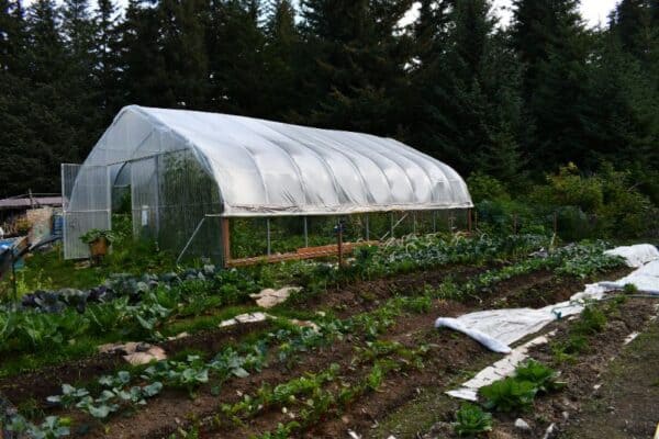 USDA Zone 1: Where is it? What to Plant? Tips to Success