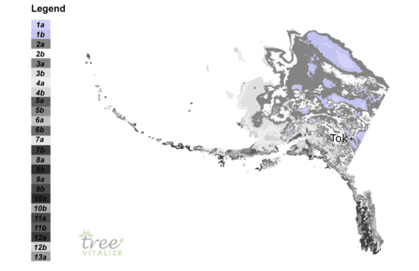 USDA Zone 1: Where is it? What to Plant? Tips to Success