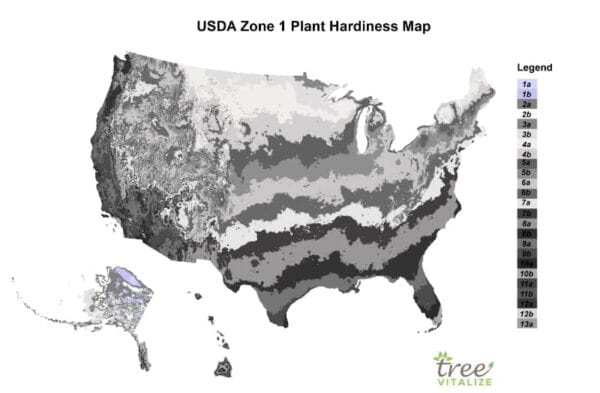 USA Planting Zones By Zip Code & State (2023)