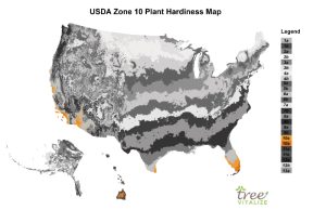 USA Planting Zones By Zip Code & State (2023)