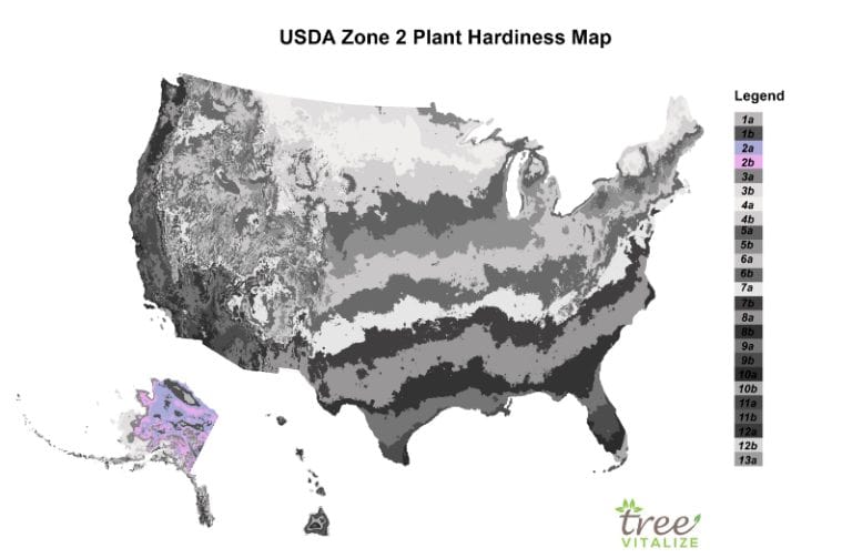 USDA Zone 2: Where is it? What to Plant? Tips to Success