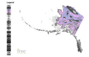 USDA Zone 2: Where is it? What to Plant? Tips to Success