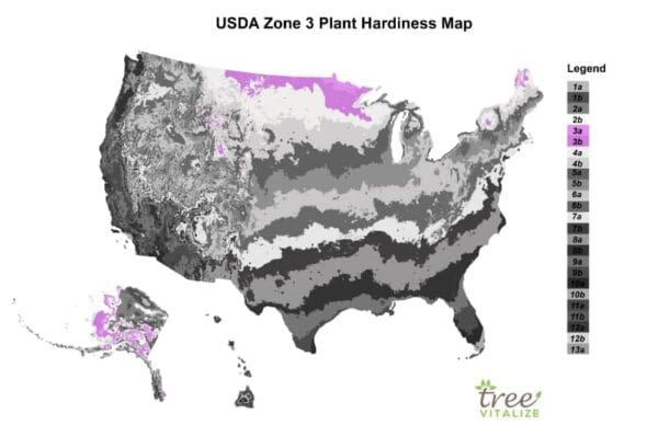USDA Zone 3: Where is it? What to Plant? Tips to Success