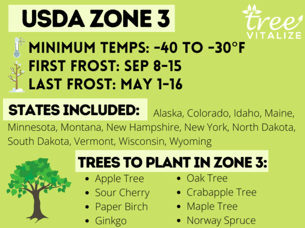 USDA Zone 3: Where is it? What to Plant? Tips to Success