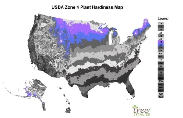 USA Planting Zones By Zip Code & State (2023)