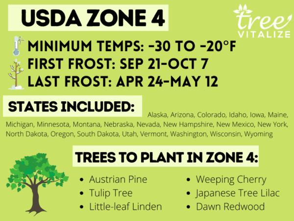 USDA Zone 4: Where is it? What to Plant? Tips to Success