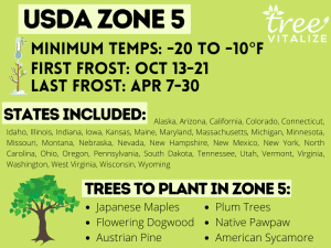 USDA Zone 5: Where is it? What to Plant? Tips to Success