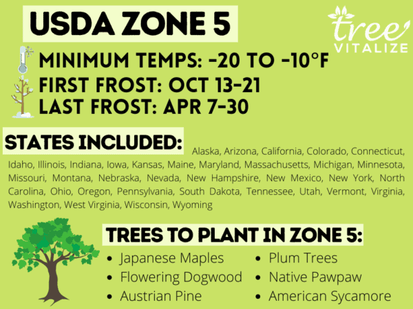 USDA Zone 5: Where is it? What to Plant? Tips to Success