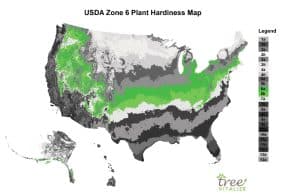 USDA Zone 6: Where is it? What to Plant? Tips to Success