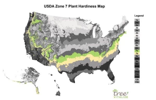 USDA Zone 7: Where is it? What to Plant? Tips to Success