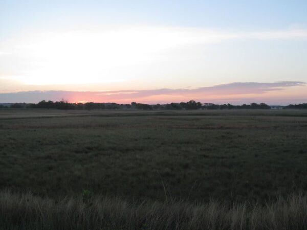 USDA Zone 5: Where is it? What to Plant? Tips to Success