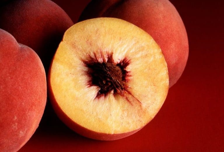 6 Best Varieties of Peach Trees to Grow in Texas