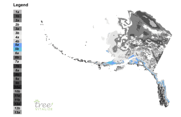 USDA Zone 5: Where is it? What to Plant? Tips to Success