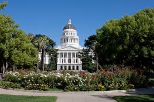 USDA Zone 9: Where is it? What to Plant? Tips to Success