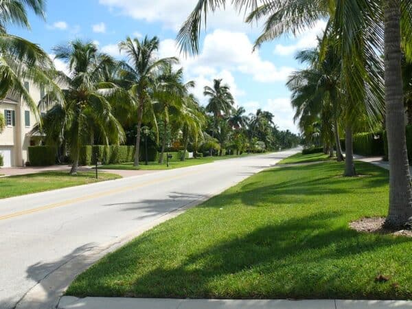 USDA Zone 10: Where is it? What to Plant? Tips to Success