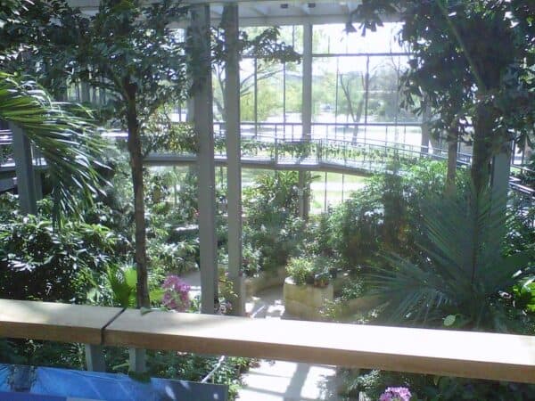 USDA Zone 8: Where is it? What to Plant? Tips to Success