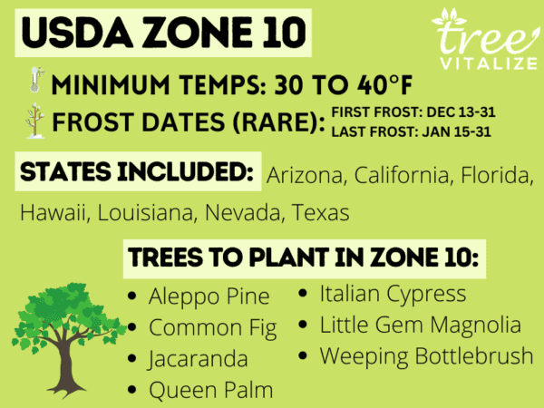 USDA Zone 10: Where is it? What to Plant? Tips to Success