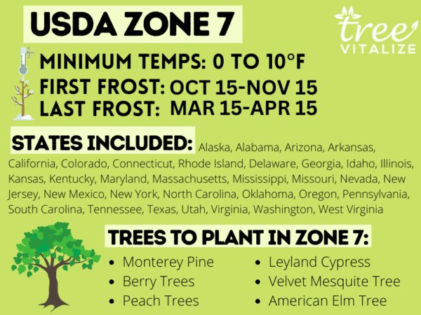USDA Zone 7: Where is it? What to Plant? Tips to Success