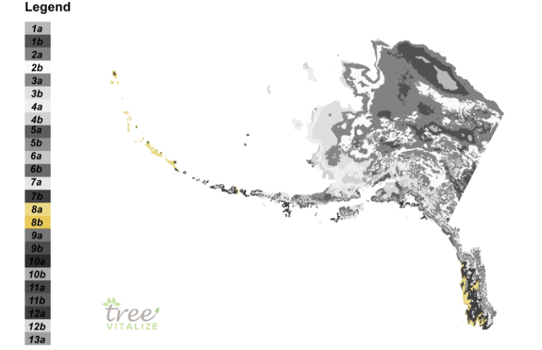 USDA Zone 8: Where is it? What to Plant? Tips to Success