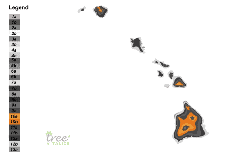 USDA Zone 10: Where is it? What to Plant? Tips to Success