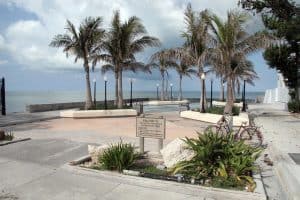 USDA Zone 11: Where is it? What to Plant? Tips to Success