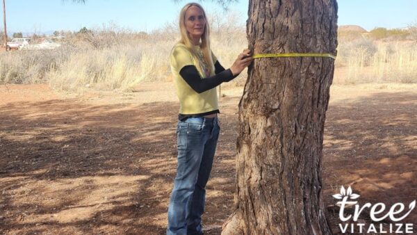 What Difference Can One Tree Make?