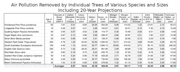 What Difference Can One Tree Make?