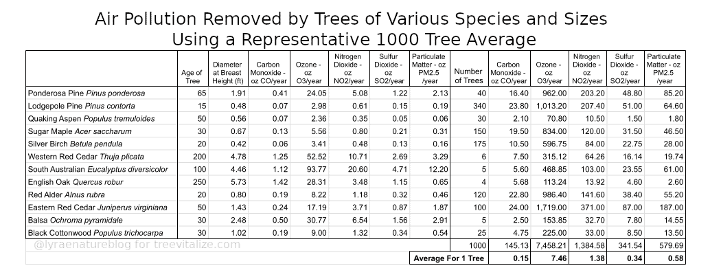 What Difference Can One Tree Make?