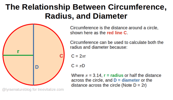 What Difference Can One Tree Make?