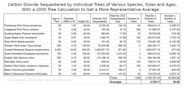 What Difference Can One Tree Make?