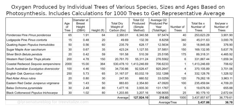 What Difference Can One Tree Make?