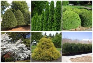 Planting Zones Ohio - Hardiness, Gardening & Climate Zone