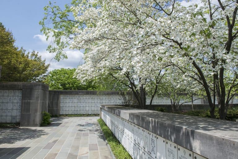 27 Best Trees to Plant in Indiana - Common & Native Varieties