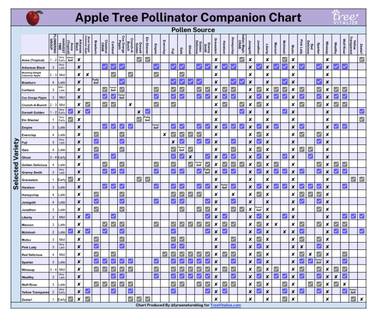 26 Different Types of Apple Trees with Identifying Features