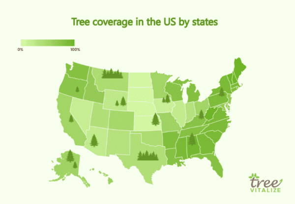 Tree Planting Statistics: How Many Trees Planted Per Year - Tree Vitalize