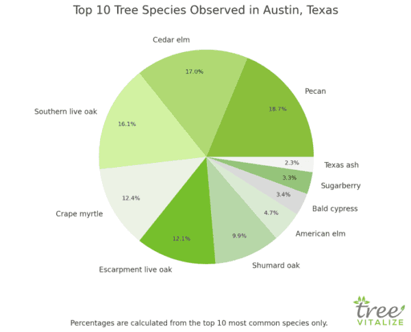 Common Tree Species, Planting Initiatives, and Diversity: An Analysis ...