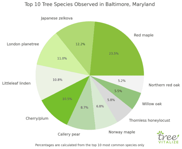 Common Tree Species, Planting Initiatives, and Diversity: An Analysis ...