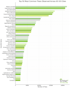 Common Tree Species, Planting Initiatives, and Diversity: An Analysis ...