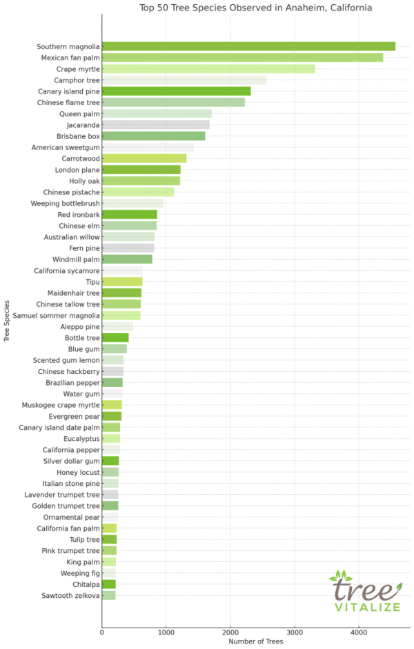 Common Tree Species, Planting Initiatives, and Diversity: An Analysis ...